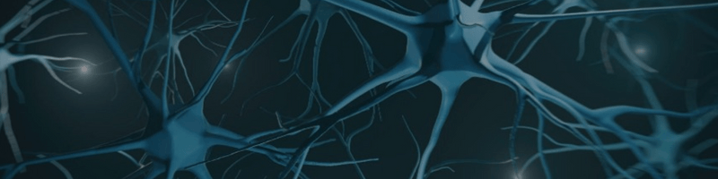 Portfolio - What If Ventures