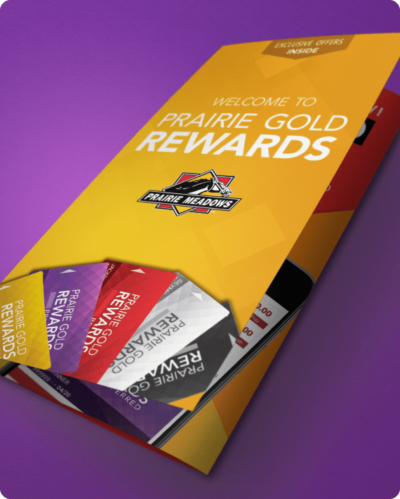 Kayla Ferris Portfolio Site