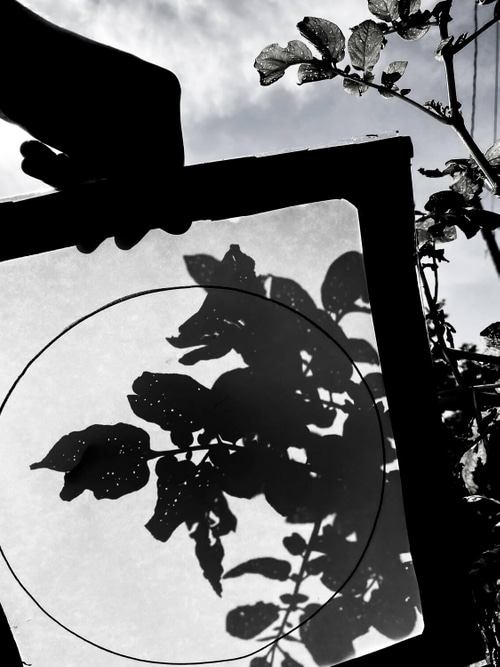 Shadow Plates - Lindsay Rogers Ceramics