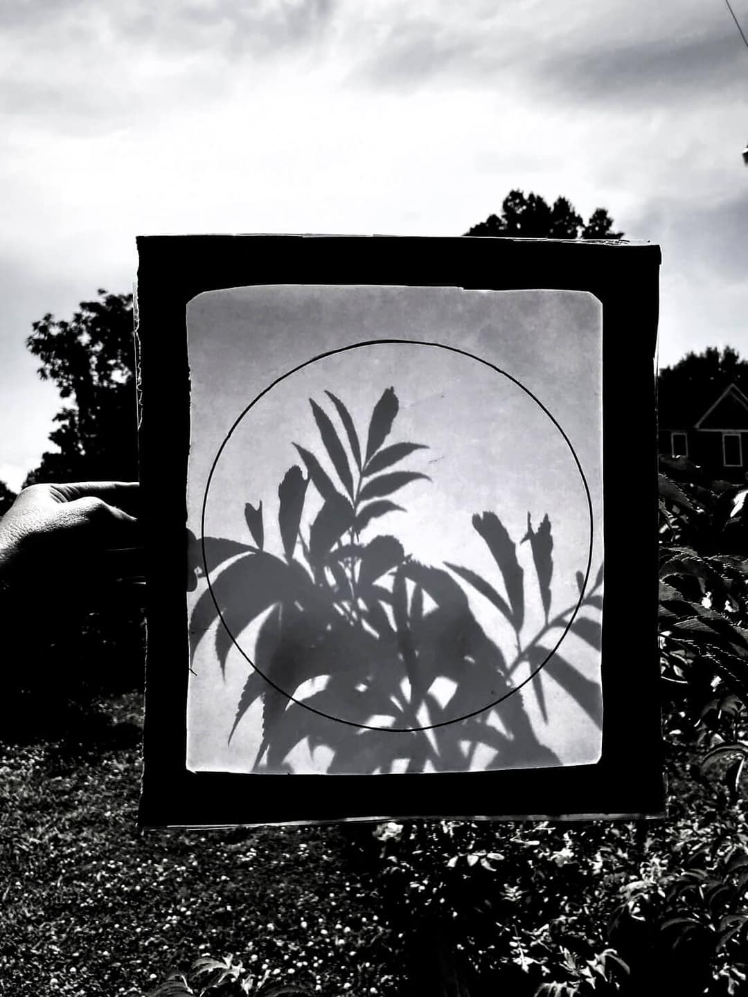 Shadow Plates - Lindsay Rogers Ceramics