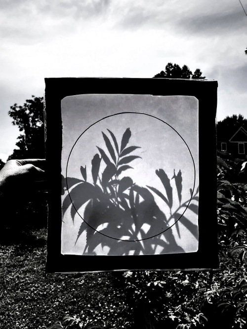 Shadow Plates - Lindsay Rogers Ceramics