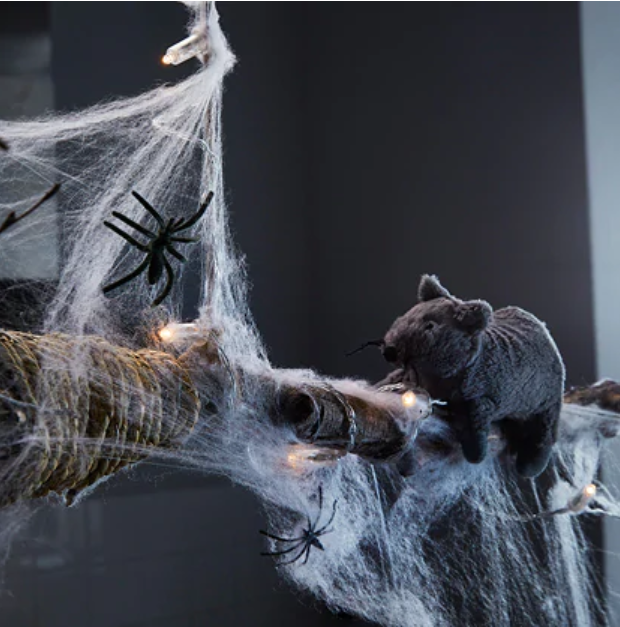 Where to find ghoulishly good Halloween events in Perth | Perth Underground