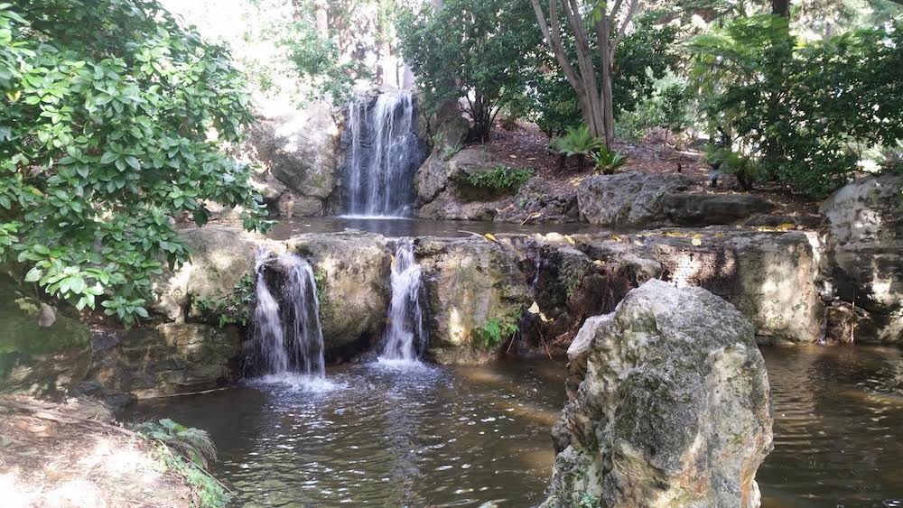 Perth's best parks and gardens to explore | Perth Underground