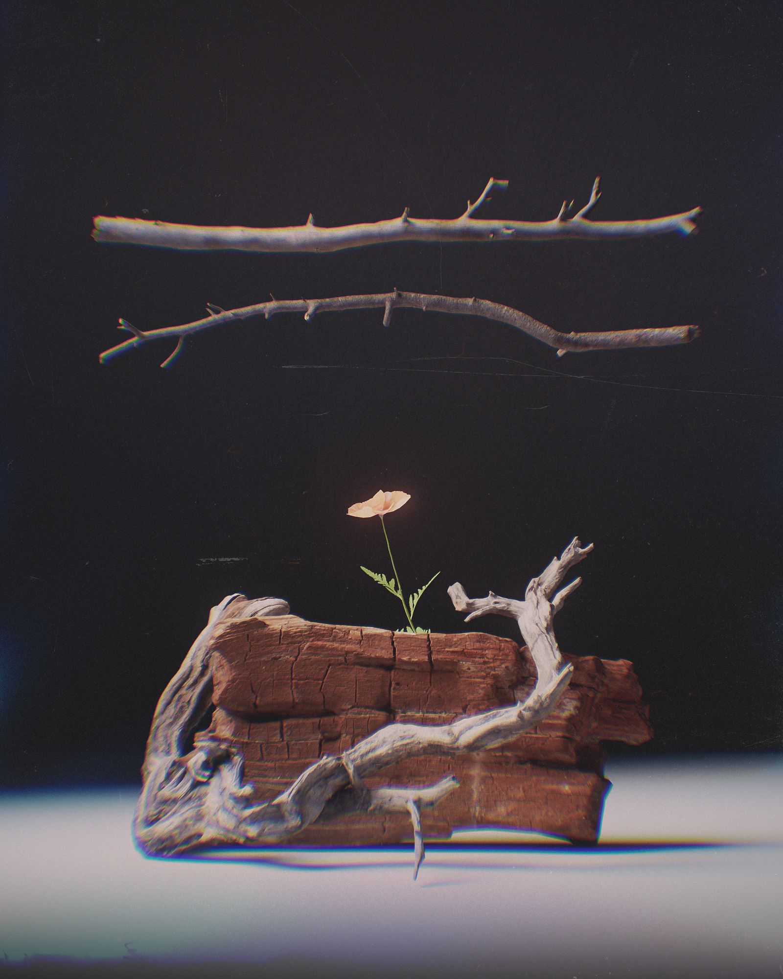 Josh Warner | Art & Design