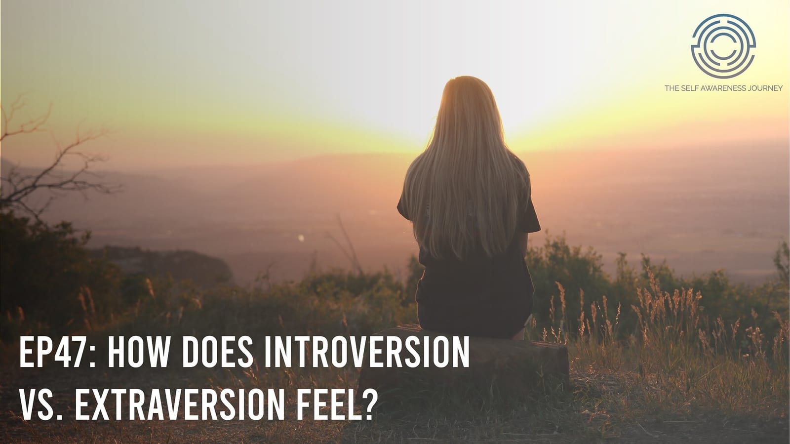 The Self Awareness Journey - How Does Introversion vs. Extraversion Feel?