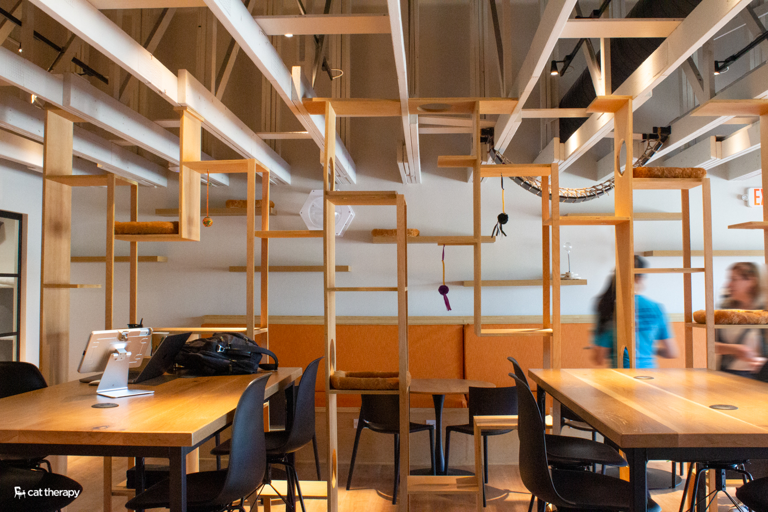 Indoor Cat Room Ideas Inspired by Cat Cafe Design