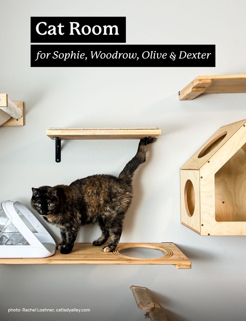Indoor Cat Room Ideas Inspired by Cat Cafe Design