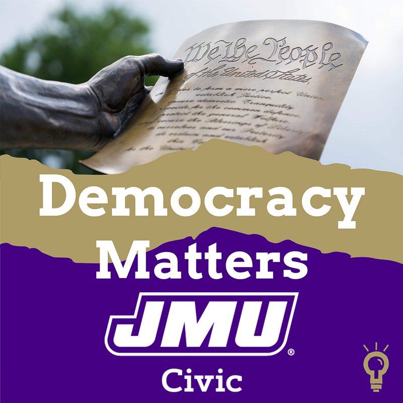 Democracy Reform | The Democracy Group