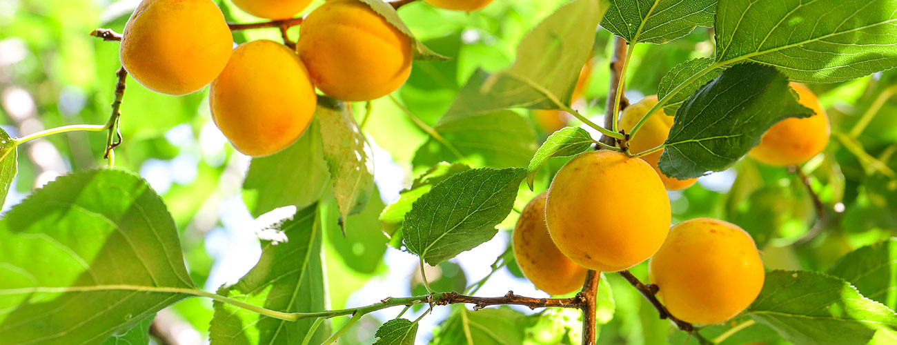 Our Early Life Experiences Shape Who We Are, how We Think, how We Feel ...