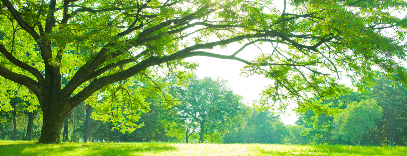 The Merits of Long-term Value Creation for All Stakeholders