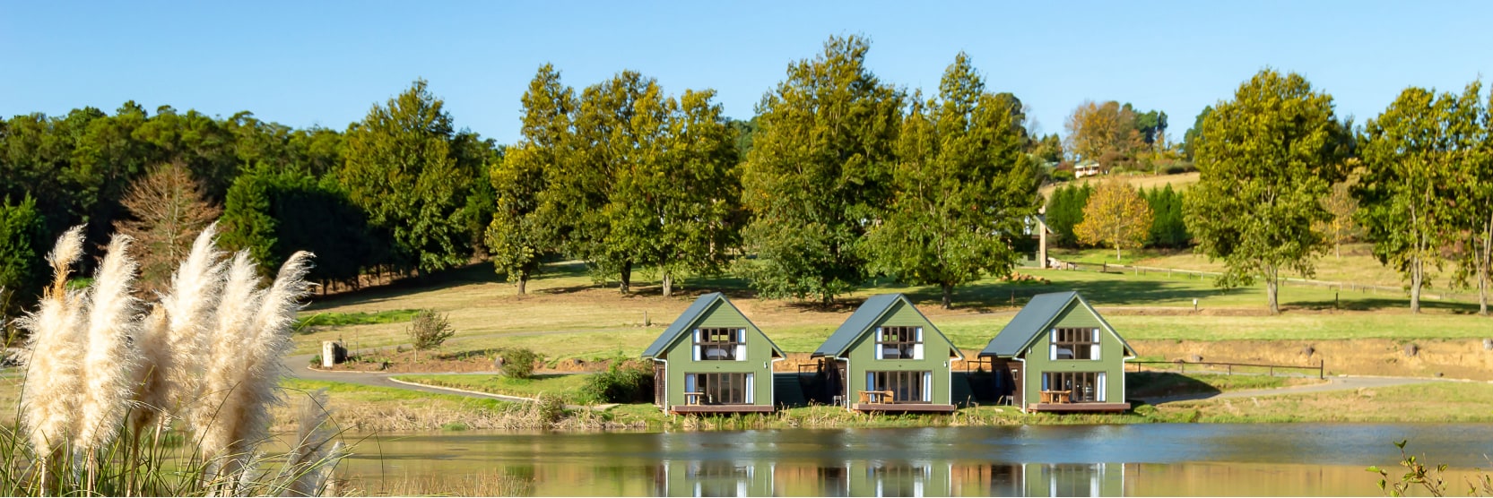 Brahman Hills Midlands Accommodation