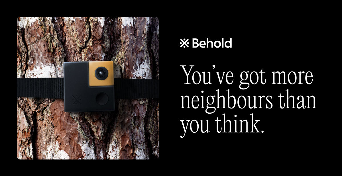 Behold - the clever little wildlife camera