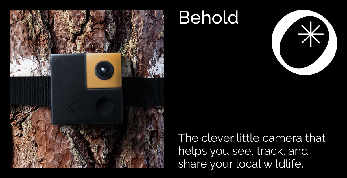 Behold - the clever little wildlife camera