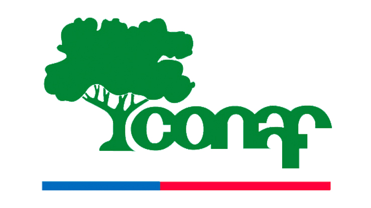 Convenios | OFTAMEDICA