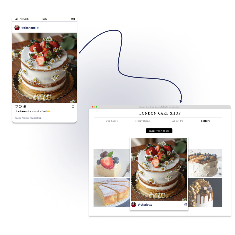SnapSea: User-Generated Content (UGC) Platform & Asset Libraries