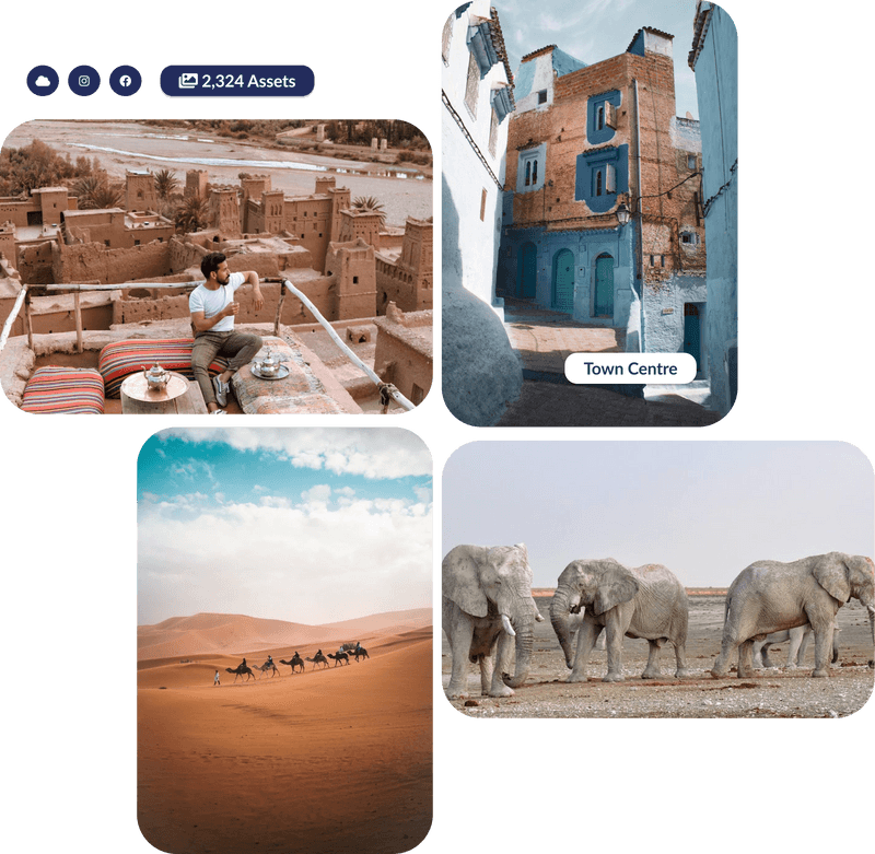 SnapSea: User-Generated Content (UGC) Platform & Digital Asset Management