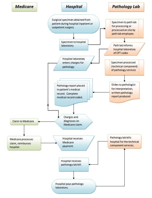 Pathology TC Must Be Billed by Hospital Beginning July 1, 2012 ...