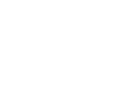 Home | Prevail Partners | Intelligence and Risk Management services