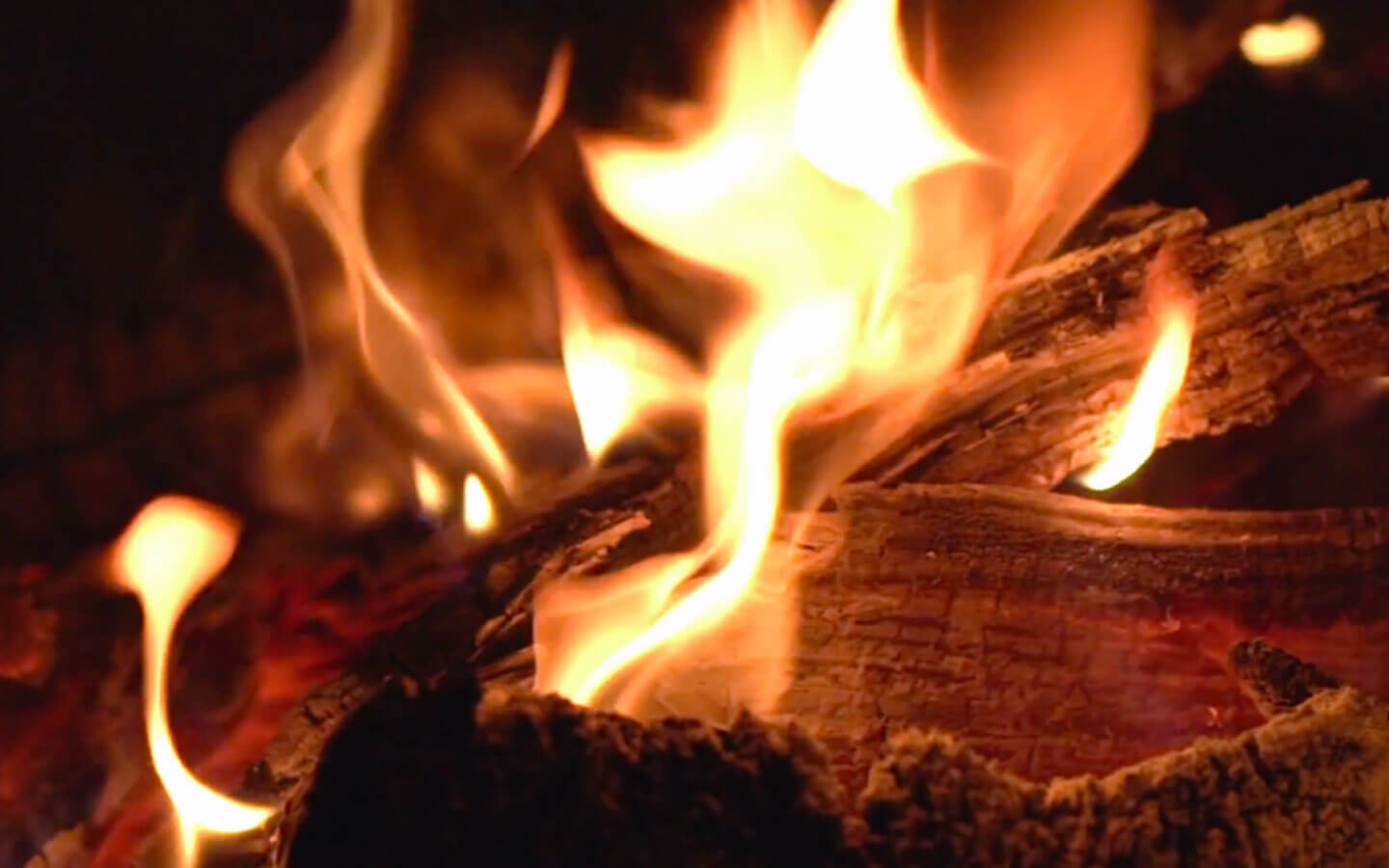 Efectele nocive provenite din arderea lemnelor — Nature Talks