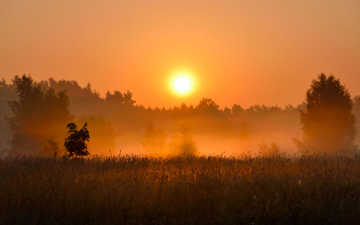 Record: cea mai călduroasă lună septembrie din istorie. Ce s-a ...