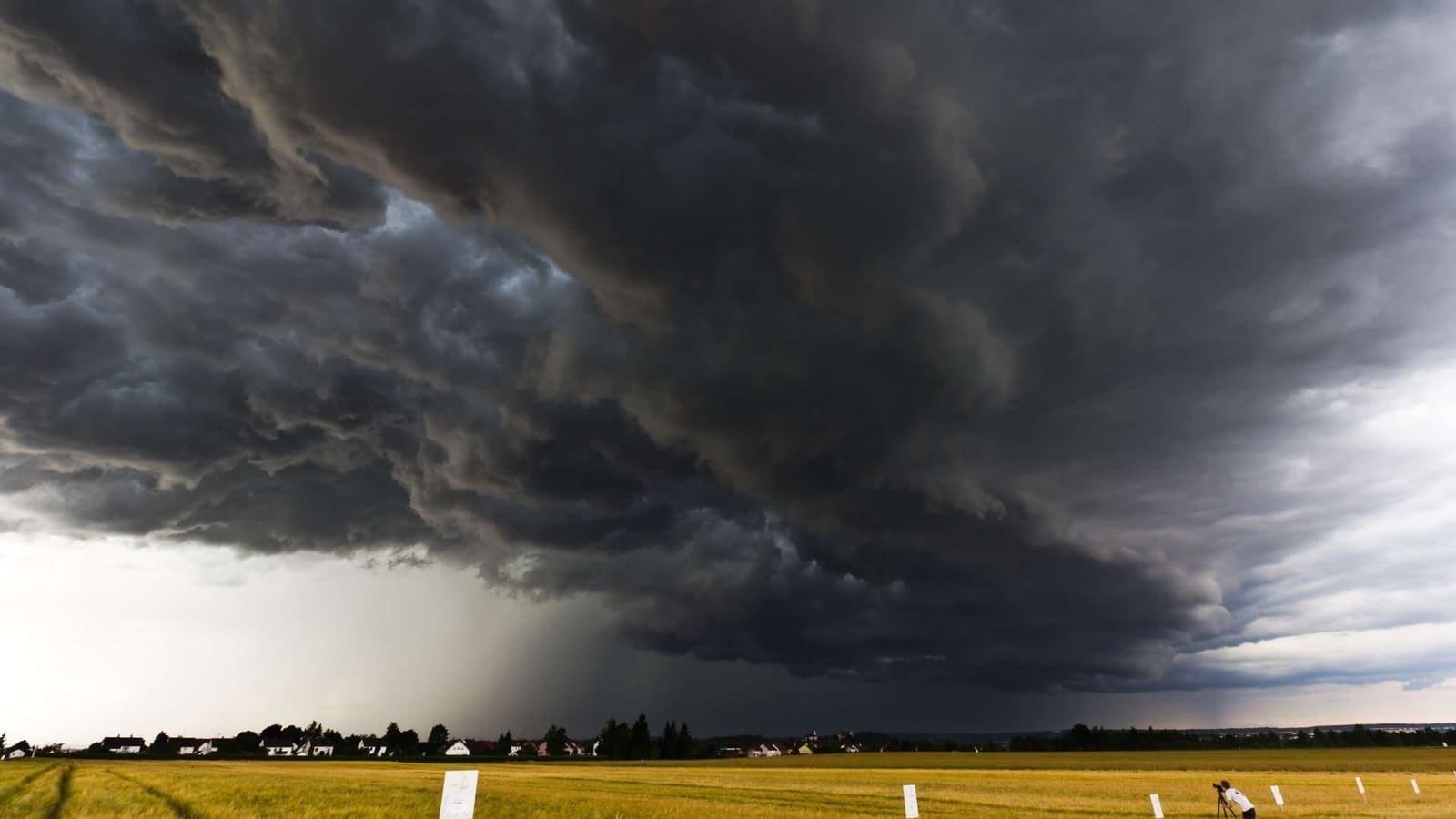 Află mai multe despre Schimbari climatice — Nature Talks