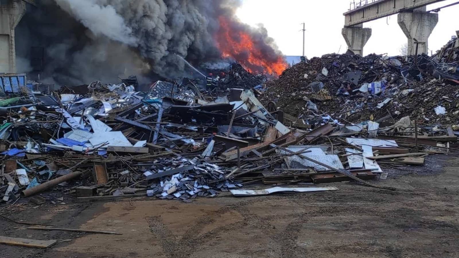 Află mai multe despre Poluarea aerului in Bucuresti — Nature Talks