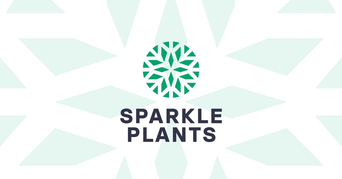 SparklePlants - Indoor plant pots | Houseplant pots