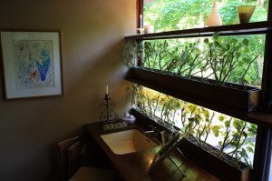 Beautiful Windows From Around the World