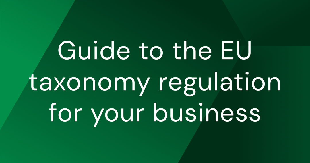 The EU Taxonomy Regulation: a guide for companies