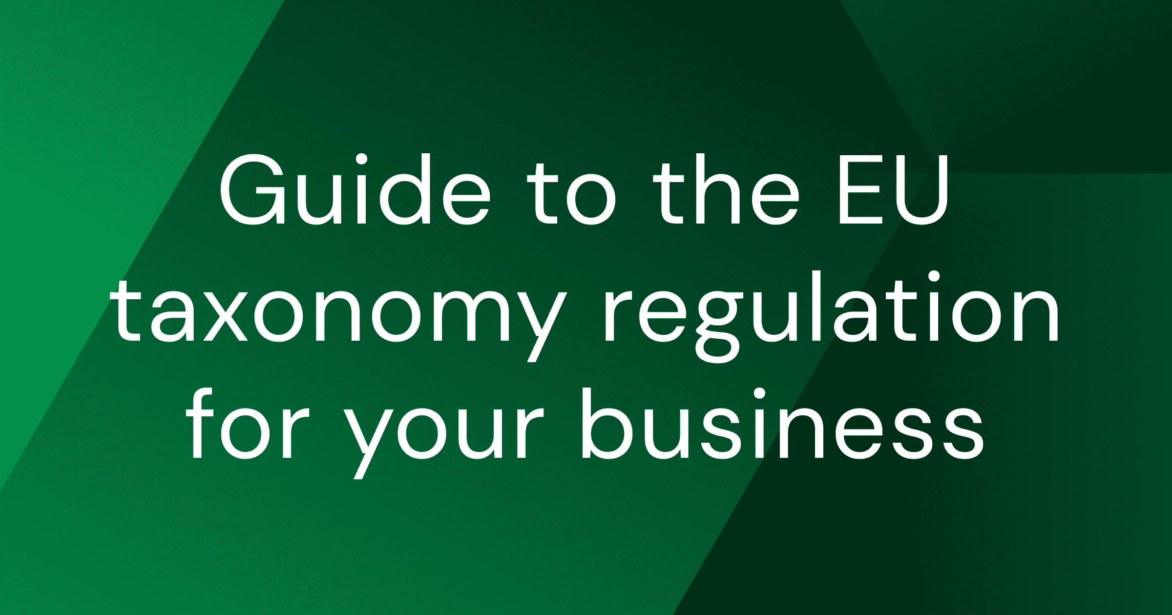 The EU Taxonomy Regulation: a guide for companies