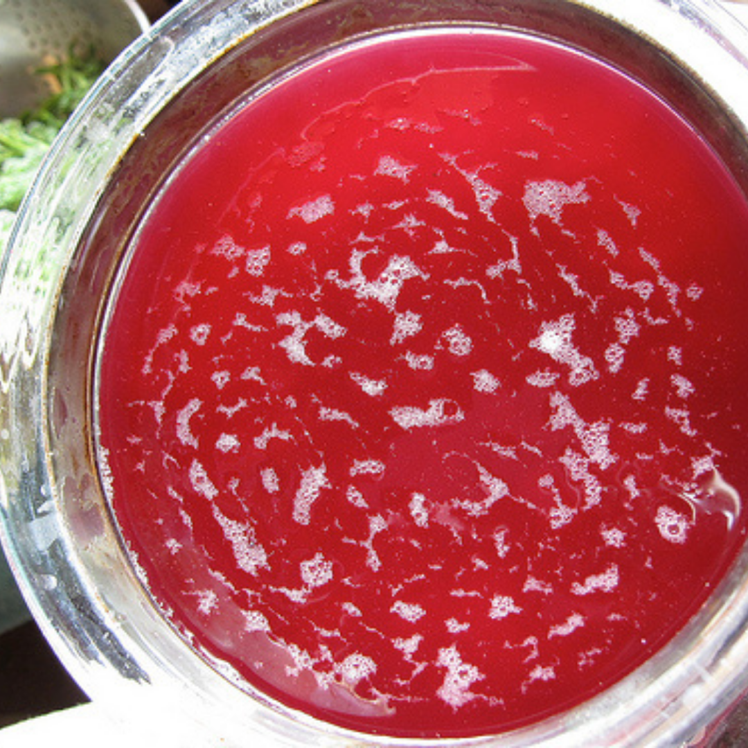 Probiotics in fermented foods