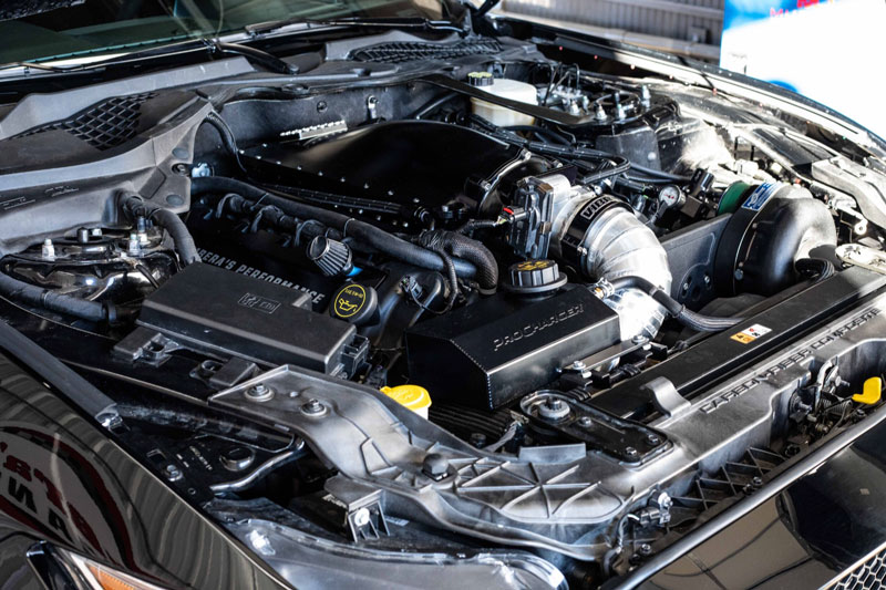 Shop Talk | Bumbera's Performance