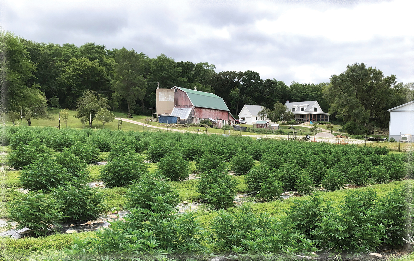 Home - One Stone Farm