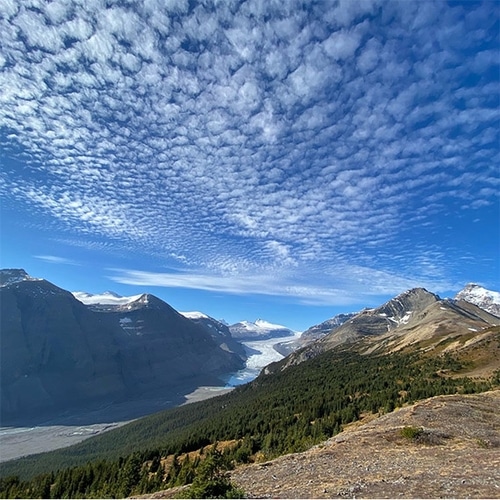 IceWalks | Things To Do | Parker Ridge