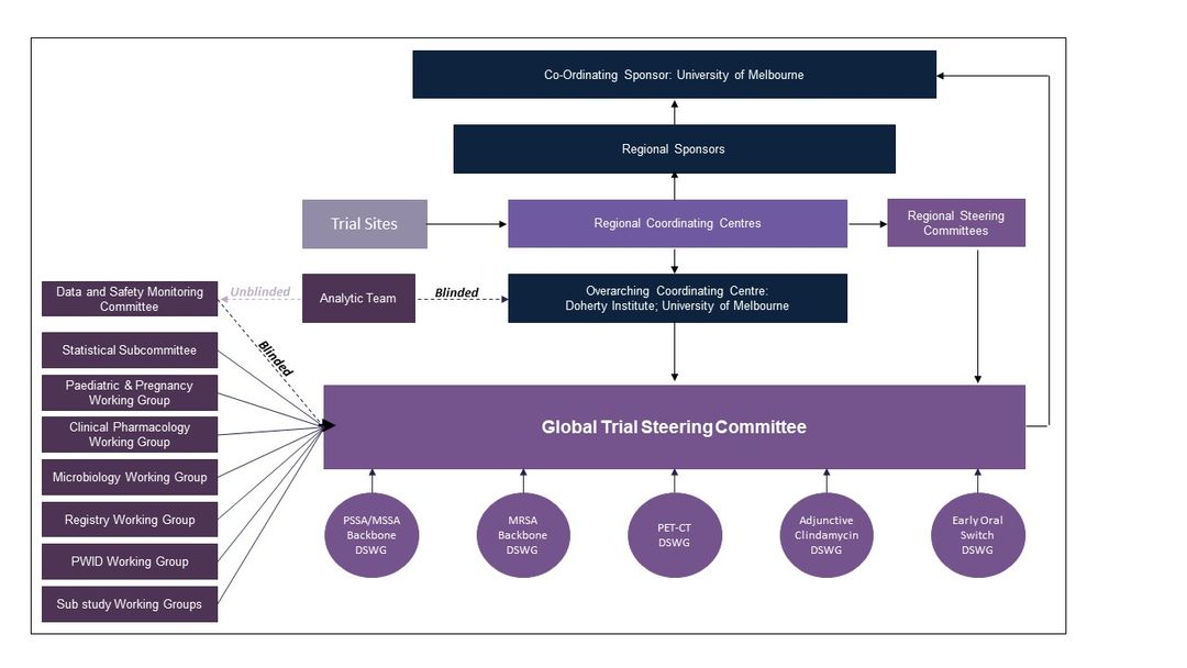 Governance | SNAP Trial – Staphylococcus aureus Network Adaptive ...