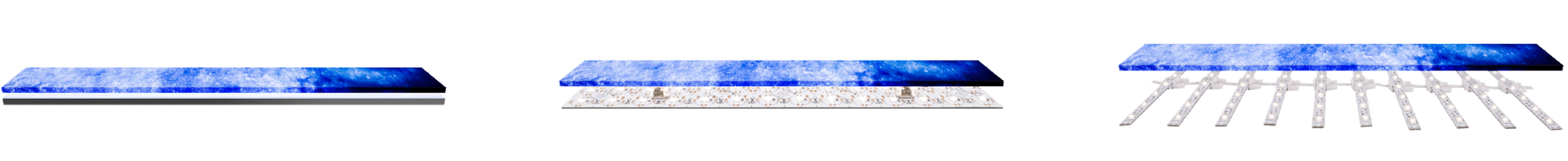 Evo-Lite | How To Order