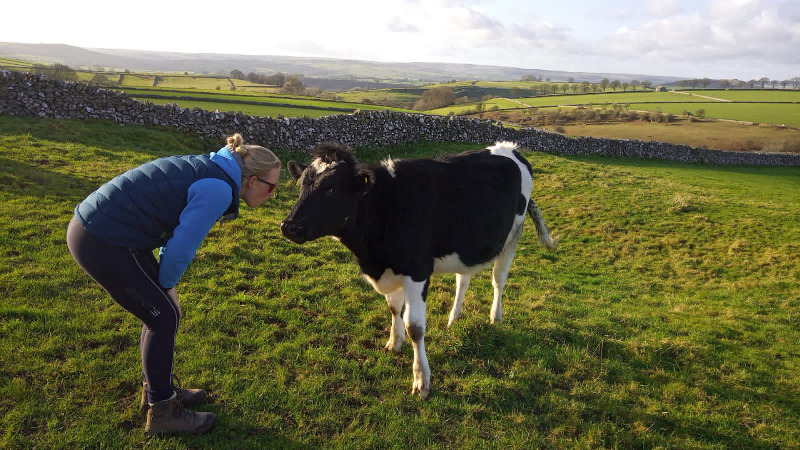 Derbyshire Farm Vets | Commercial Dairy, Beef & Sheep Vets