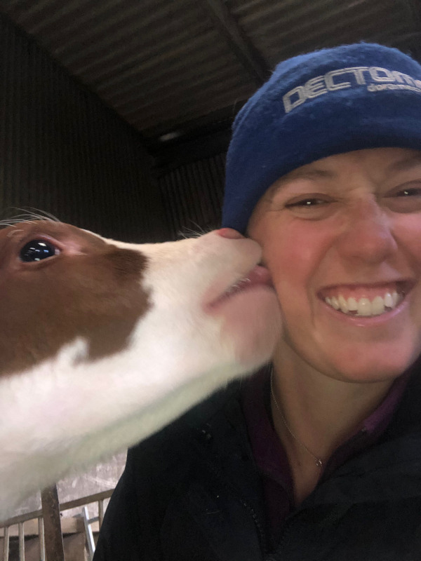 Derbyshire Farm Vets | Commercial Dairy, Beef & Sheep Vets