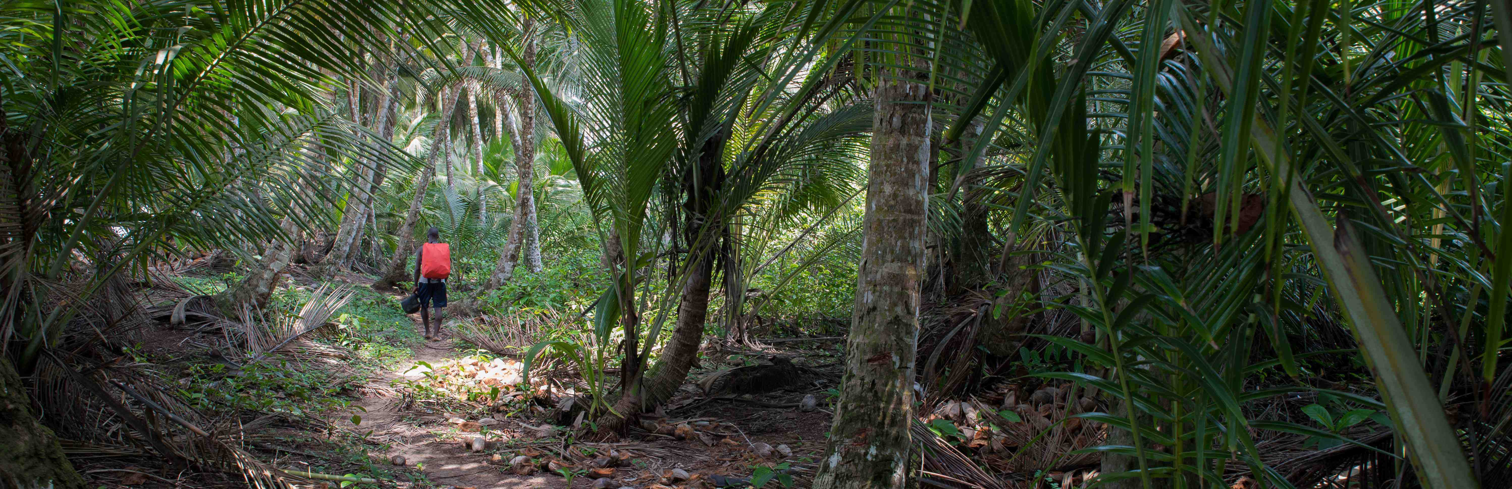 Mulago Foundation | Rainer Fellows Program