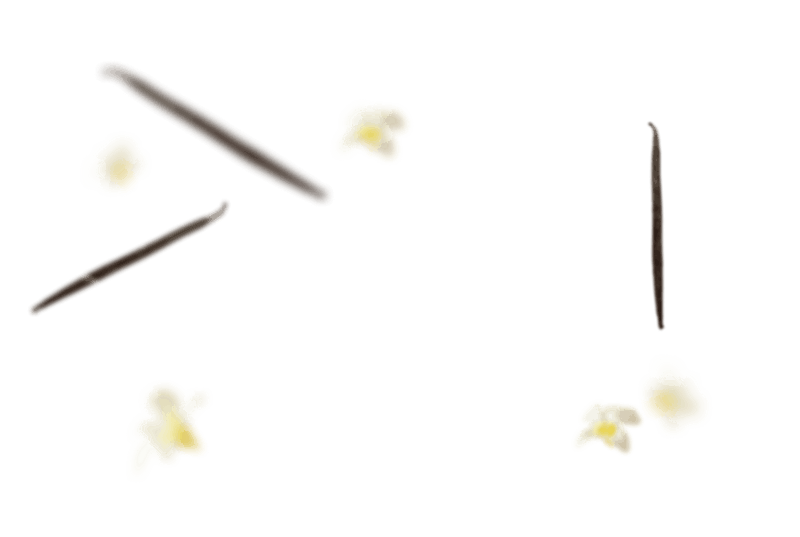 fwip | Award-winning Ice Cream | Vanilla Gelato