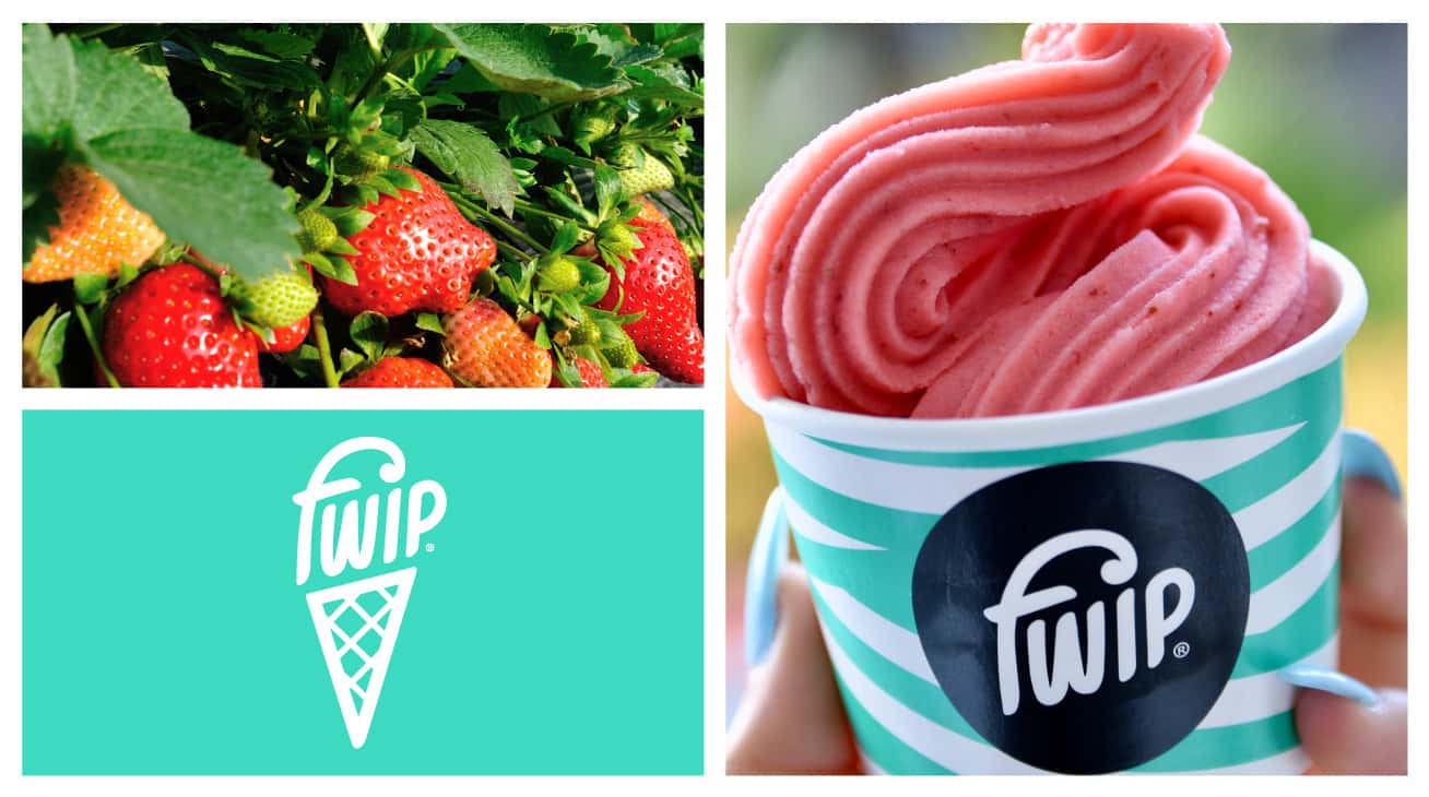 fwip | Award-winning Ice Cream | Strawberry Sorbet