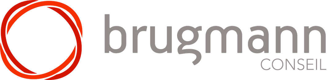 Brugmann Conseil - M&A - Conseils en Management