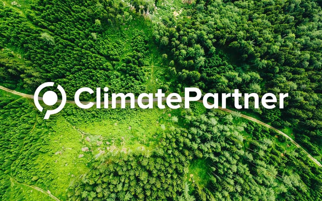 fwip | The World’s Smallest Gelateria | News