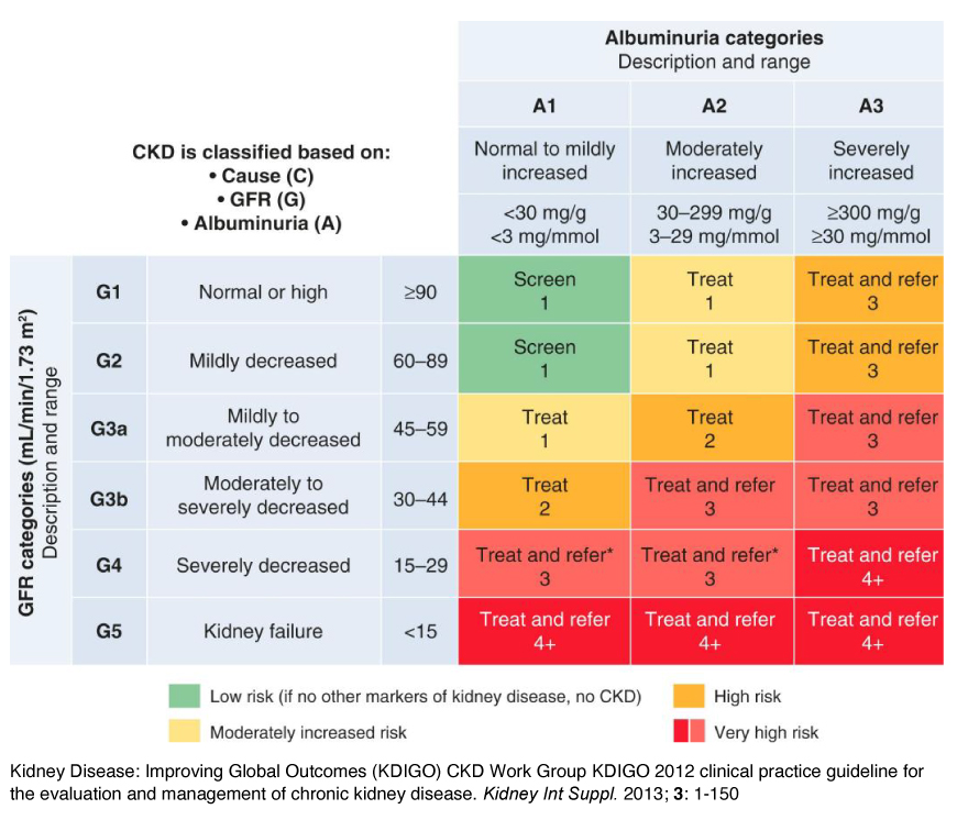 Early Identification and Screening for Chronic Kidney Disease | CKD Toolkits | WCHQ | Health ...