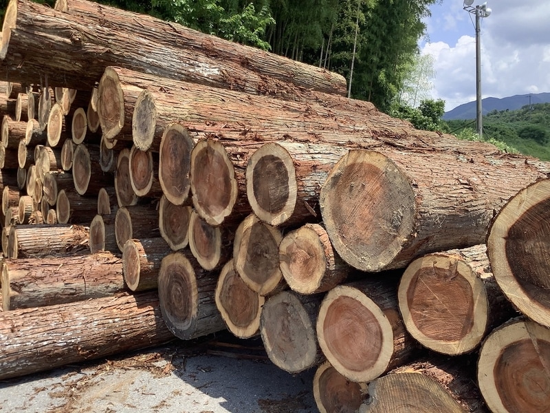 Japanese Timber Australia | Premium Export Timber