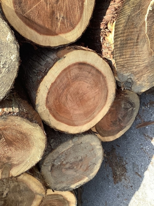 Japanese Timber Australia | Premium Export Timber