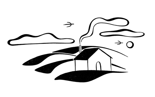 Forage Box - Foraging Workshops and Wild Food Specialists