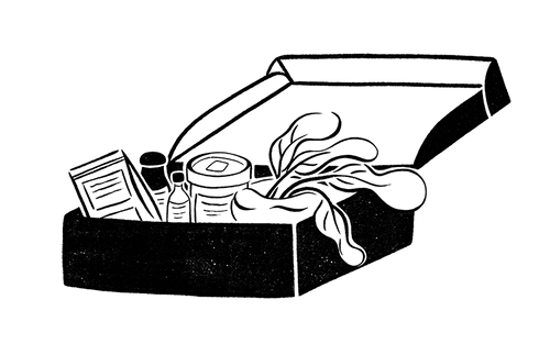 Forage Box - Foraging Workshops and Wild Food Specialists