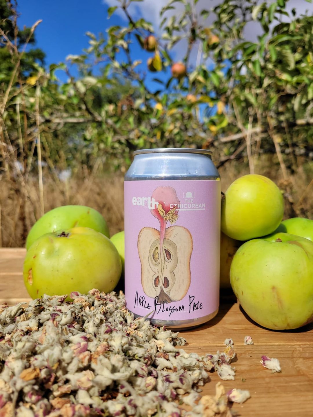 Forage Box - Foraging Workshops and Wild Food Specialists