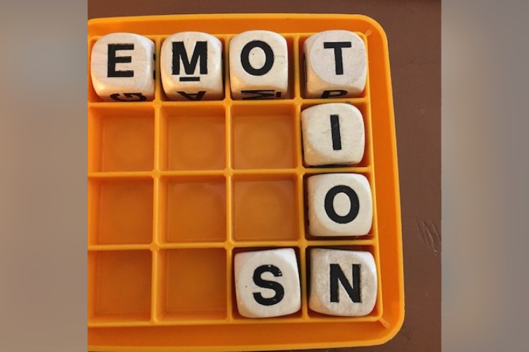 Screenagers Blog | “Boggled By Emotions”—A game for every age!
